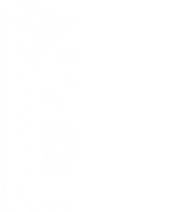 Cyber Warrior Network | Where esports Meets Cybersecurity